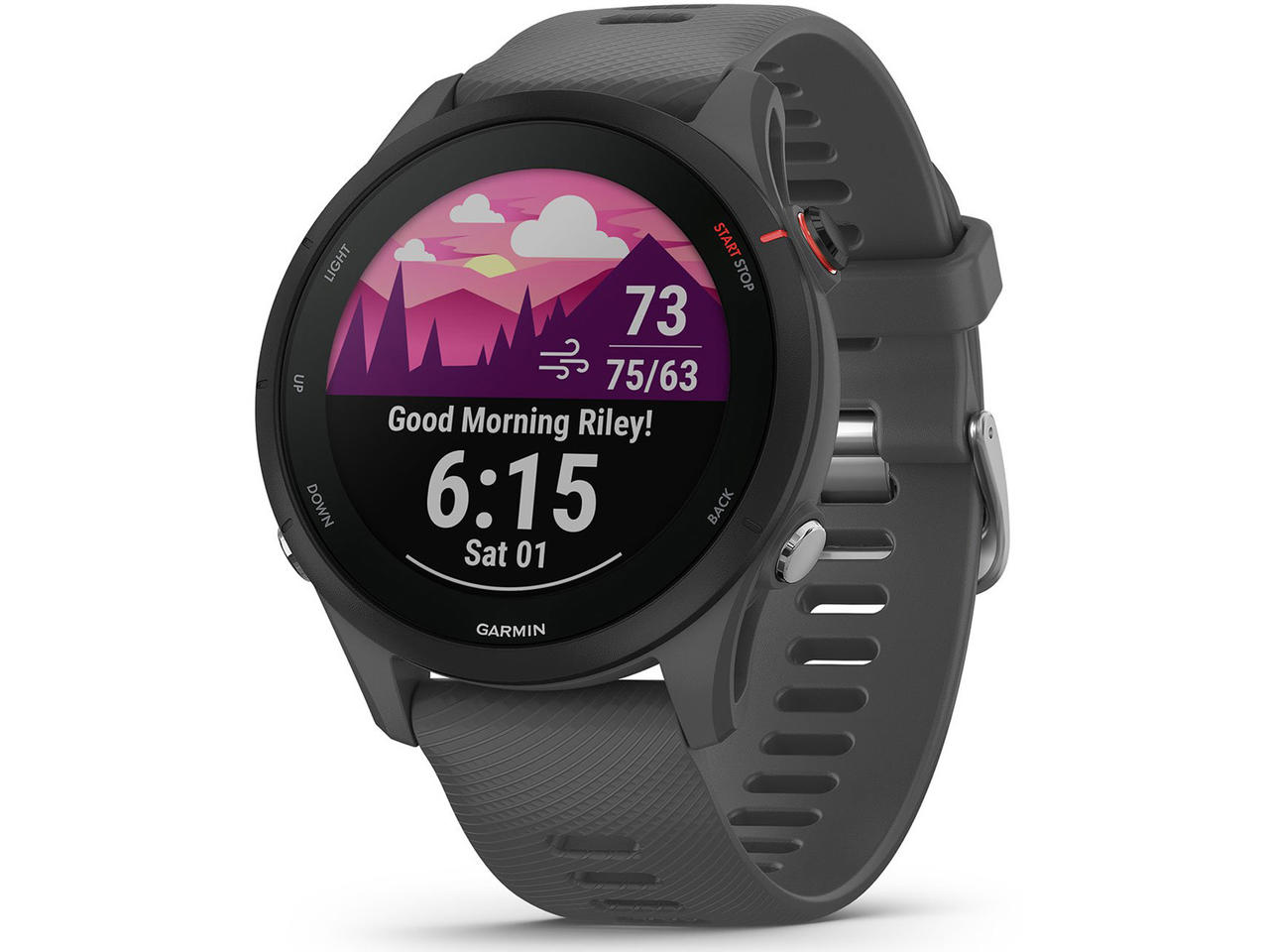 Garmin Forerunner® 255 Slate Gray | Smartwatch.bg - Умни часовници